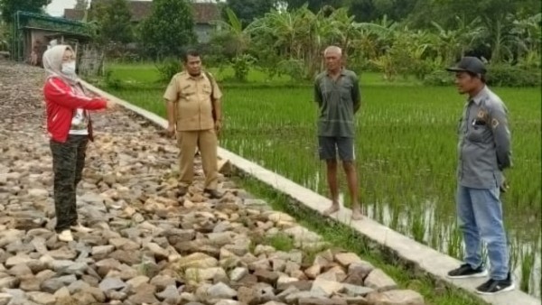 Hj Rita Haryati Tinjau Pembangunan Jalan Tani di Bogorejo - DPD PDI ... Hj Rita Haryati Tinjau Pembangunan Jalan Tani di Bogorejo - DPD PDI ...